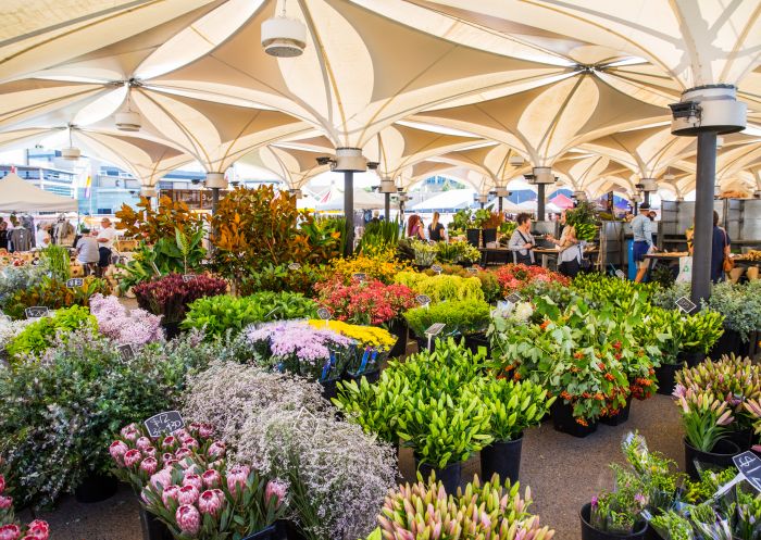 Top food markets in Sydney | Sydney.com