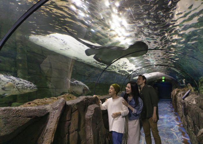 Sydney Culture Trails: Darling Harbour & surrounds | Sydney.com