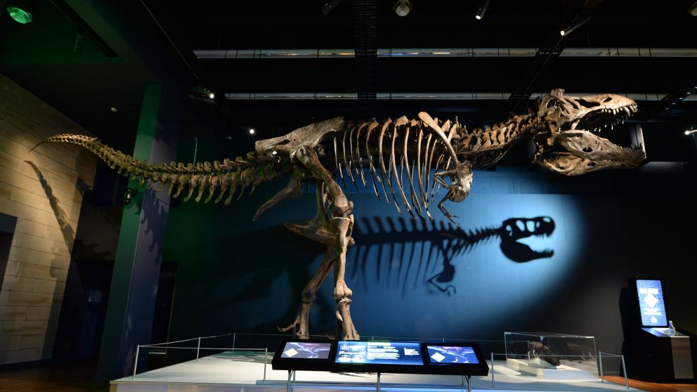 Sydney Museums | Arts & Culture | Official Sydney.com