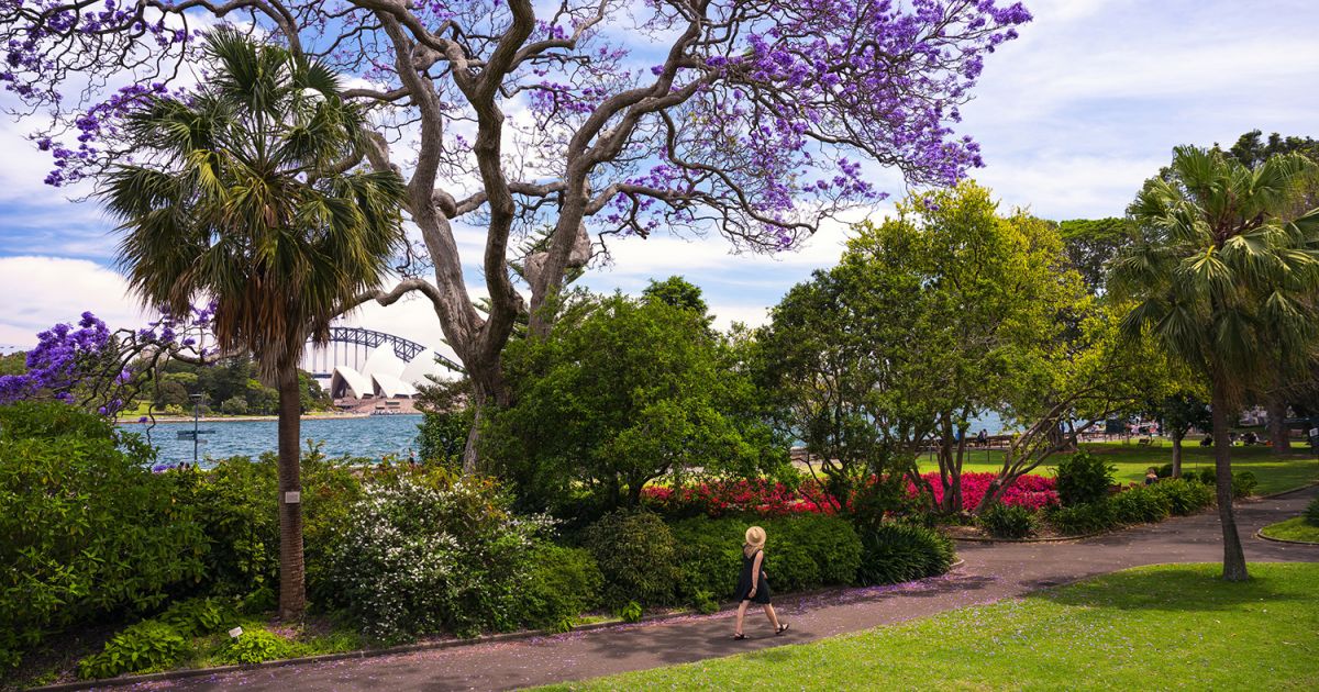 Sydney National Parks – Discover Beautiful National Parks in Sydney