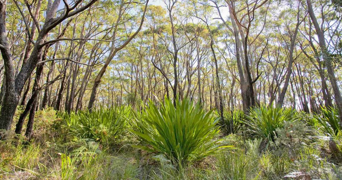 Appin Sydney - Plan a Holiday - Accommodation, Maps & Attractions