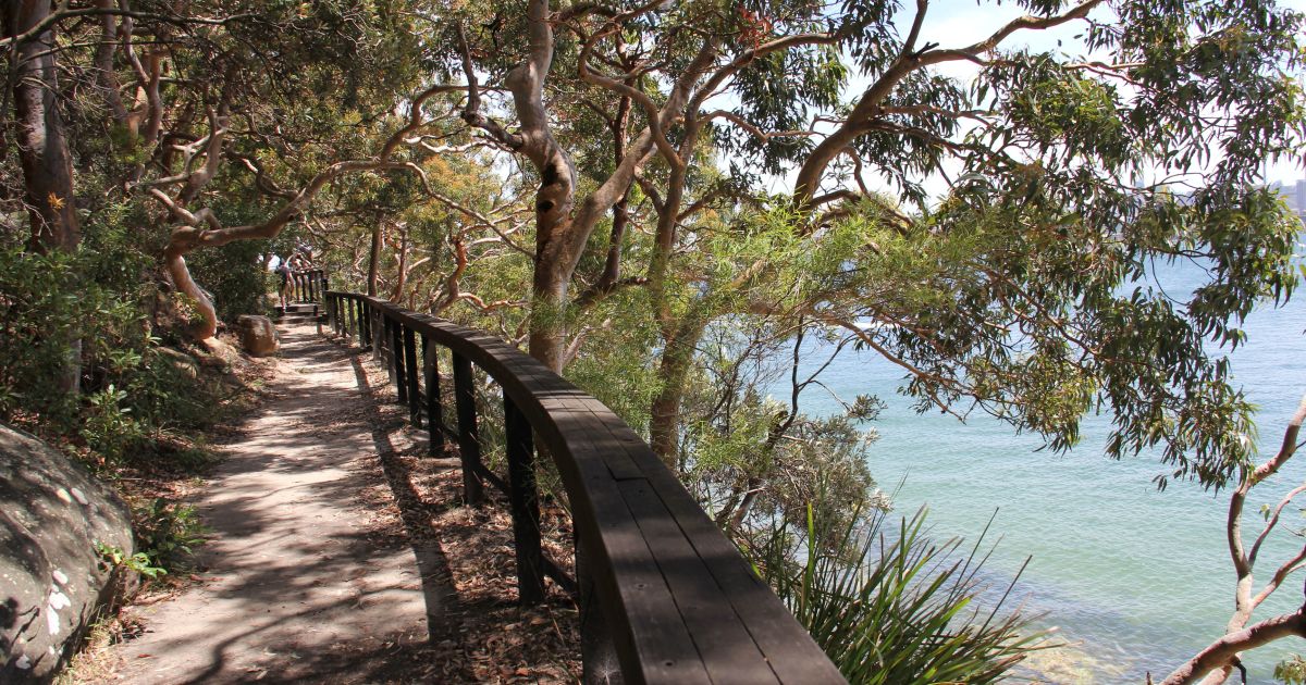 The Best Bushwalks in Sydney | Sydney.com