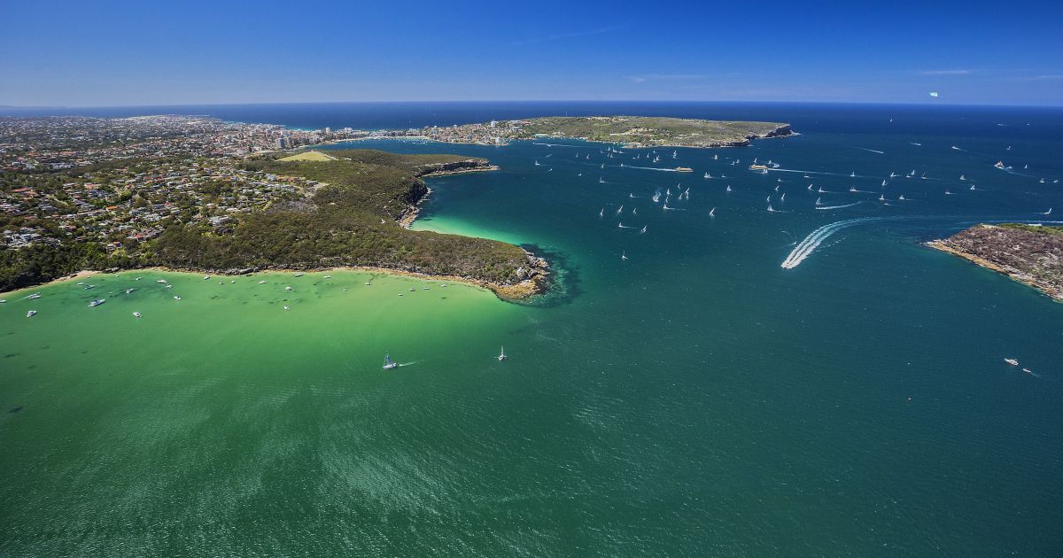 Your guide to the Spit Bridge to Manly Walk | Sydney.com