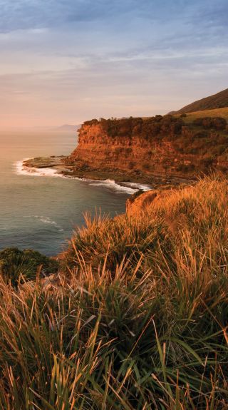 Your guide The Coast Track, Royal National Park | Sydney.com