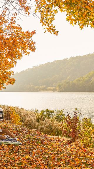 The best places to see Sydney's autumn colours | Sydney.com