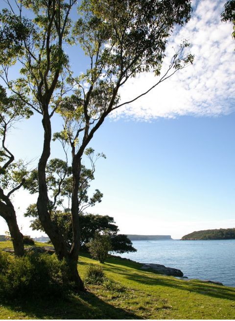 Things to Do in Sydney | Find What to Do in Sydney, Australia